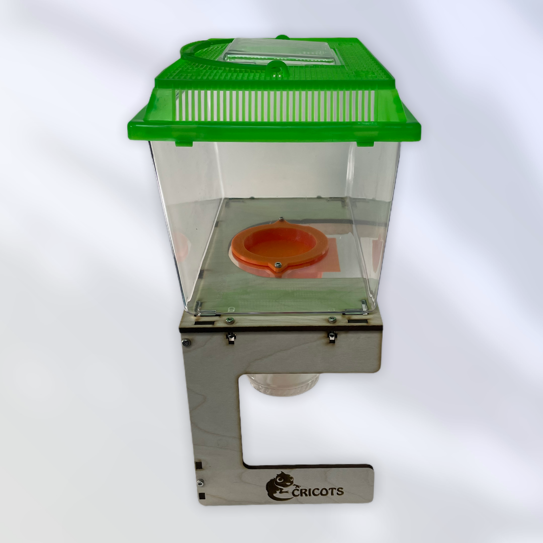 Cricots - Medium Cricket Terrarium - Never touch crickets again