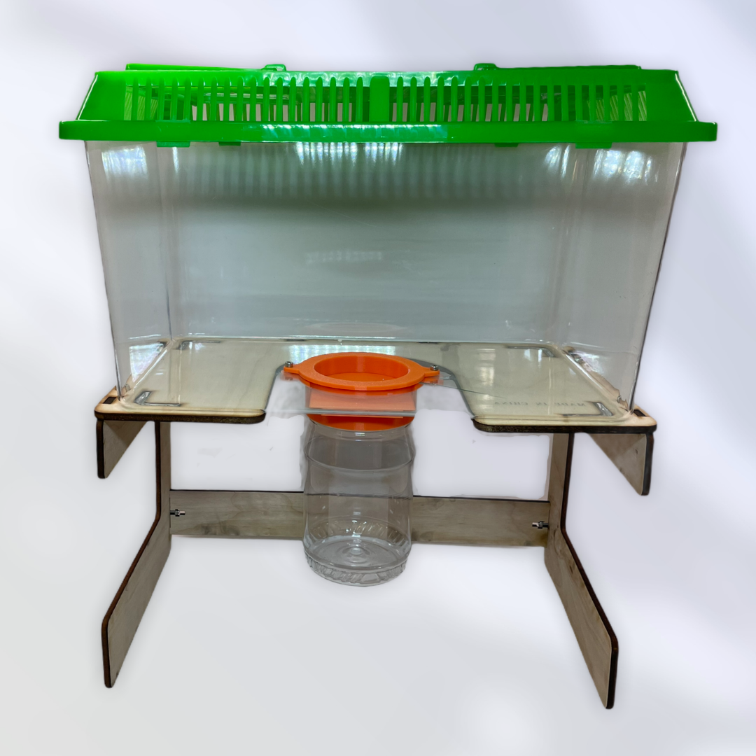 Cricots - Medium Cricket Terrarium - Never touch crickets again