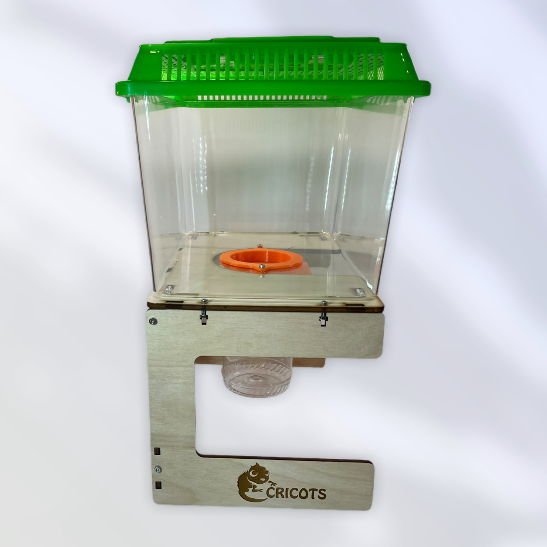 Cricots - Medium Cricket Terrarium - Never touch crickets again